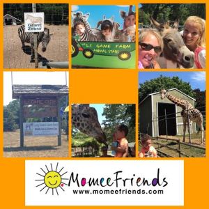 The Long Island Game Farm