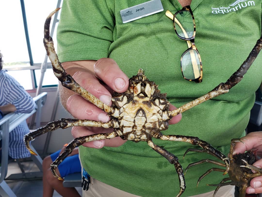 Atlantis Explorer Tour Boat- Riverhead, NY