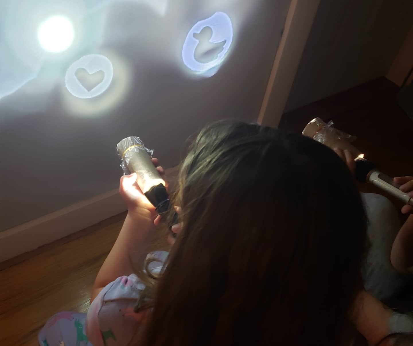 Shadow Fun with Toilet Paper ROLls