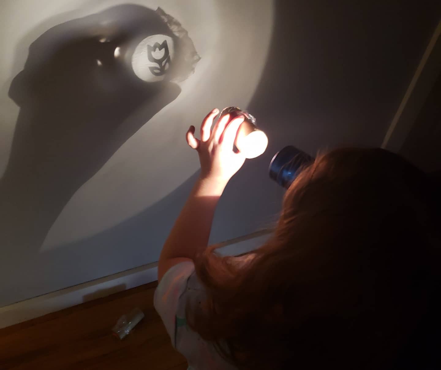Shadow Fun with Toilet Paper ROLls
