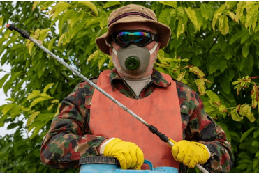 Seasonal Pest Control: Why Professional Bug Sprayers Are Essential to ...