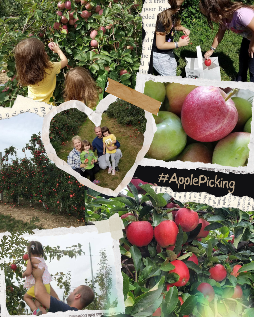 Apple Picking Guide- Long Island 2025